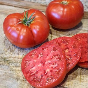 Graines Tomate Beefmaster F1 (type beefsteak)