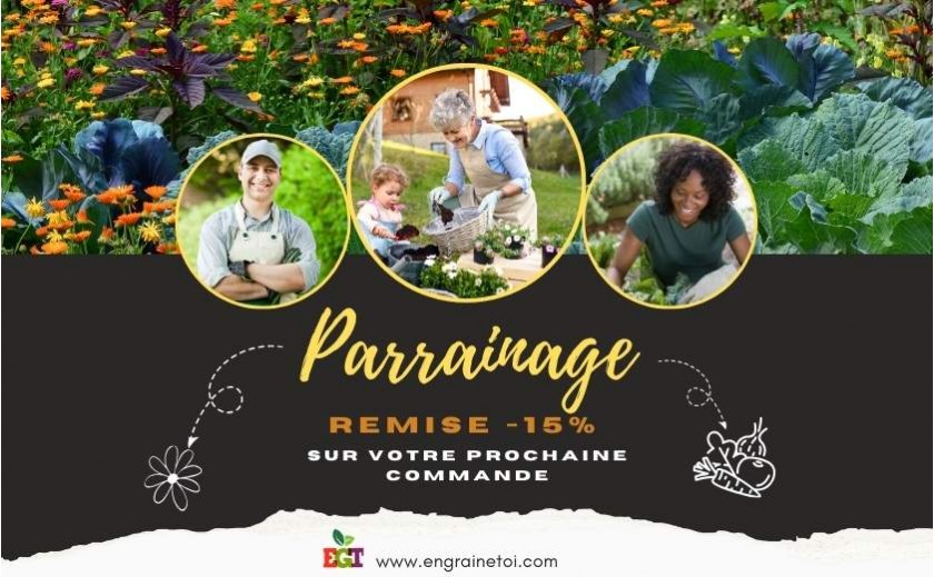 Programme de parrainage
